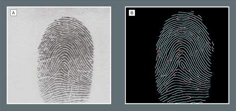 Figure 1 From Enhancing Security And Privacy In Biometrics Based Authentication Systems