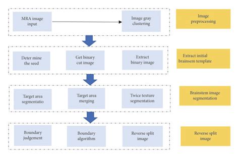 flowchart of brainstem segmentation algorithm with the mra image