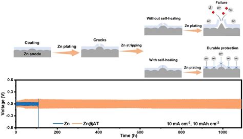 constructing dynamic cross‐linking networks as durable bifunctional