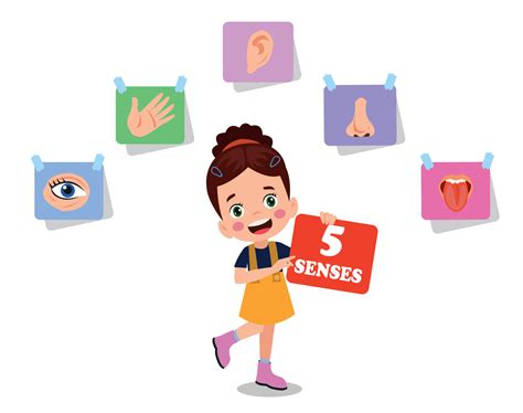 Five Senses Concept With Human Organs 15632647 Vector Art At Vecteezy