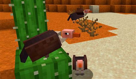 Chunk Loaders Mod Para Minecraft 1214 1201 1192 1182 Y 116