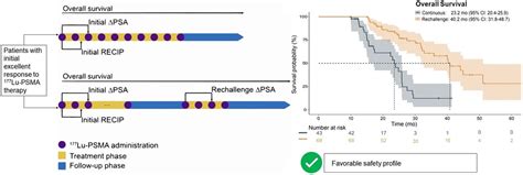 Extended Psma Therapy Safe And Effective For Prostate Cancer Patients