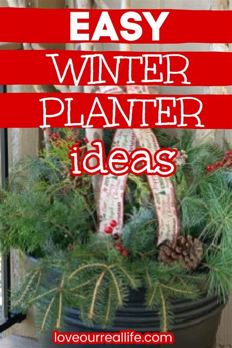 Winter Planter Ideas Christmas Decorations For The Outdoors Winter