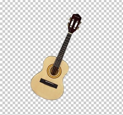 Acoustic Guitar Acoustic Electric Guitar Cavaquinho Bass Guitar Tiple