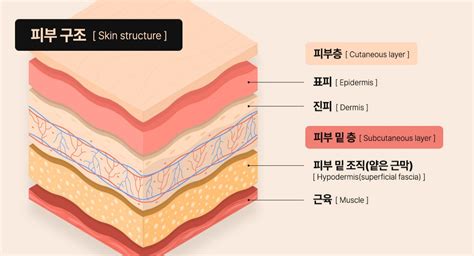 Autologous Dermal Graft Rhinoplasty Implant Selecting The Right