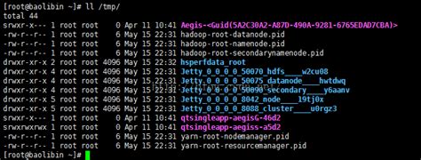 hadoop的pid路径问题 配置 hadoop datanode的pid文件位置 csdn博客
