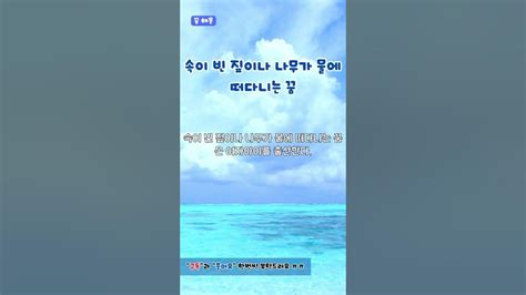 꿈해몽 속이 빈 짚이나 나무가 물에 떠다니는 꿈 Youtube