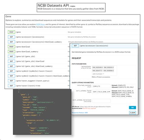 Programmatic Access To Gene Data Using Datasets Command Line And Api