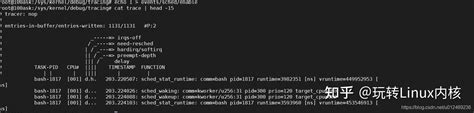 Linux性能工具 一 Ftrace使用 知乎