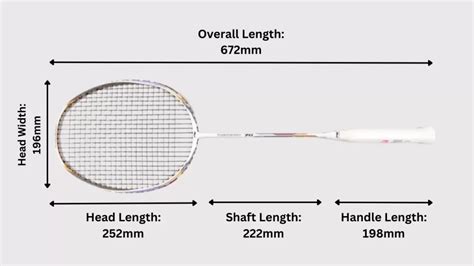 Badminton Racket Vs Tennis Racket A Comparative Analysis 2025