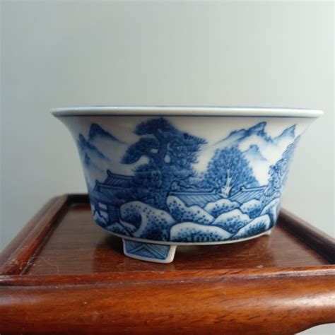 Yahooオークション 盆栽ちび丸 月光鉢