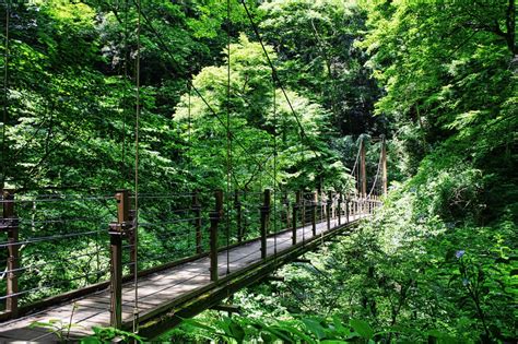 【高尾山優惠乘車券 高尾山溫泉套票完整指南】善用優惠車票享受高尾山超值觀光！ 好運日本行