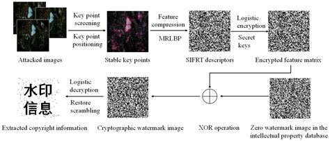 a zero watermarking algorithm based on scale invariant feature