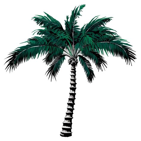 Download Black And White Palm Tree Png 53