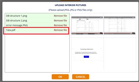 Multi File Uploader Allow Upload Of Jpeg  Or Png Files Only