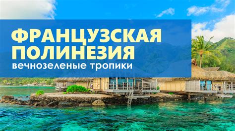 Французская Полинезия Туры из Перми Бутик Путешествий