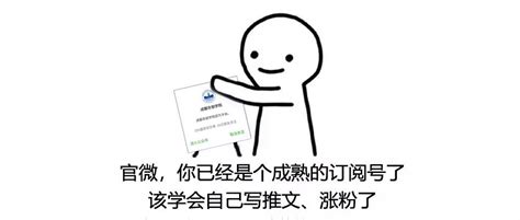 “东软妈粉”有话说 你已经是个成熟的学会