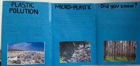 School Displays Garden Of Knowledge