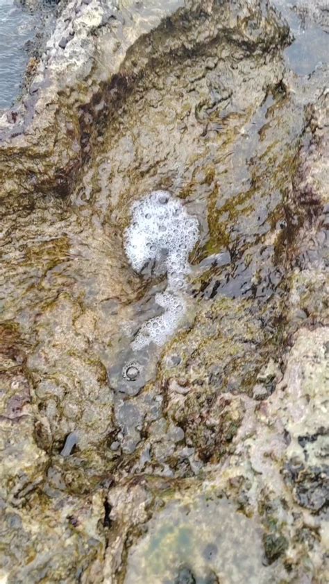 This Rock Reminds Me Of Ethan For Some Reason Rh3h3productions