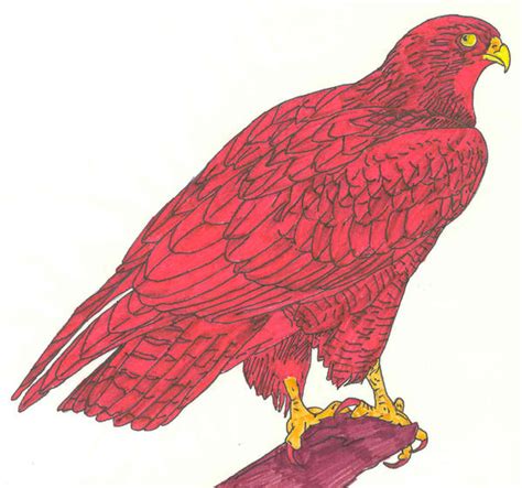 Ruby Hawk By Fanfictionaxis On Deviantart