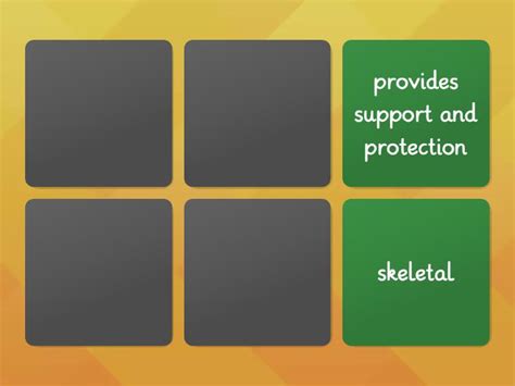 Practice Template Matching Pairs