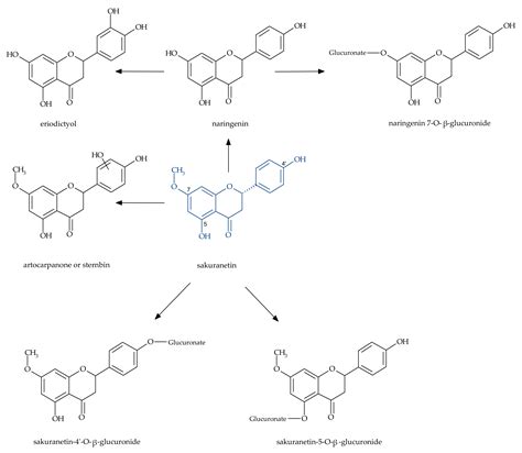 Nutrients Free Full Text A Review On Sources And Pharmacological