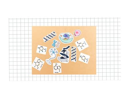 Molecular Biology Stickers Dna Stickers Cell Stickersscience Etsy