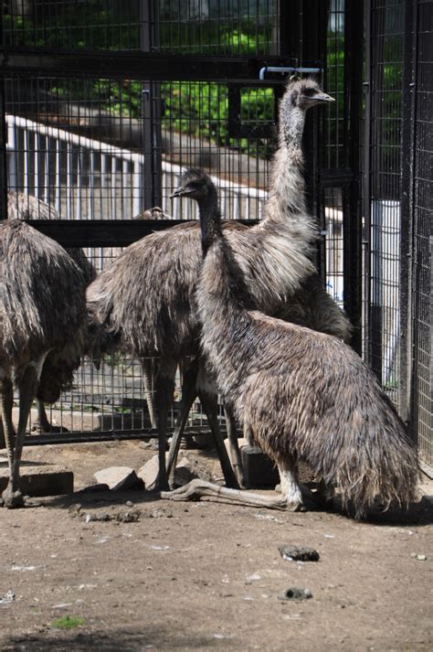 園内マップ｜東山動植物園