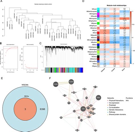 Identification Of A Novel Gene Expression Signature Associated With Am Ijgm