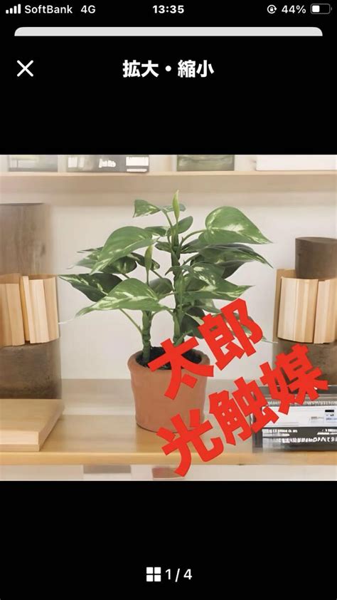 Yahooオークション 光の楽園 光触媒 人工観葉植物 ウォールグリーン