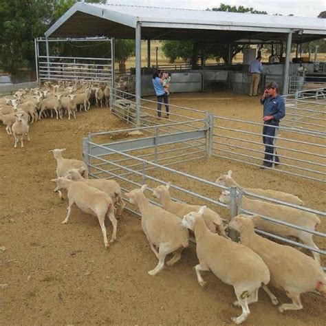 Gable Structure Proway Livestock Equipment Usa