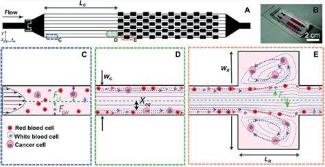 microvortex based microfluidic chip showing its intricate design