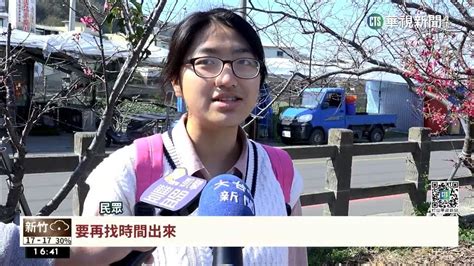 台中泰安櫻花僅開不到一成 年後賞櫻撲空｜華視台語新聞 20230206 Youtube