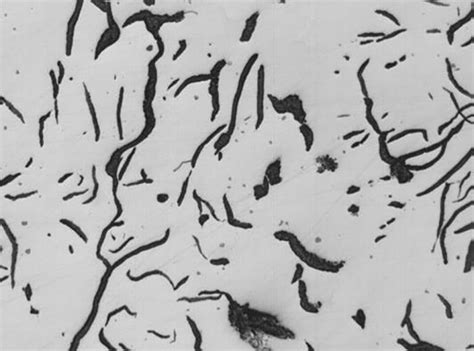 Flake Size As Per Astm A247 And Iso 945 Clemex