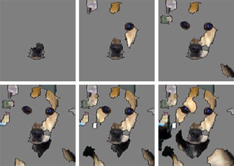 figure 1 from evaluating explanations of convolutional neural network
