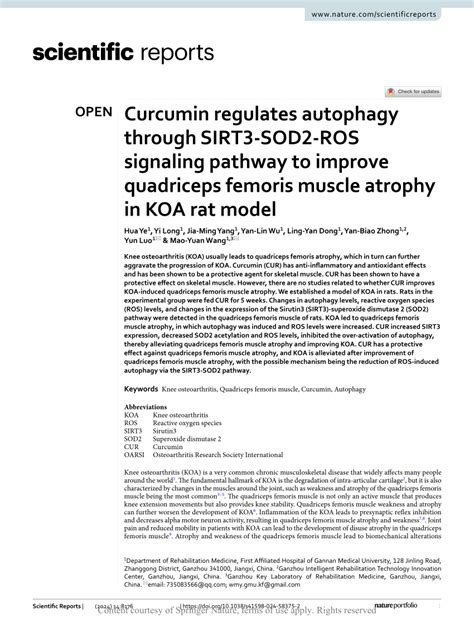 PDF Curcumin Regulates Autophagy Through SIRT3 SOD2 ROS Signaling