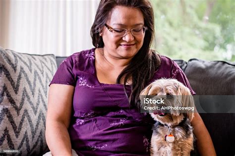 조화와 평온 소파에서 여성과 요크셔 테리어 사이의 부드러운 유대감 포착 50 54세에 대한 스톡 사진 및 기타 이미지 50 54세 가정 생활 가축 Istock