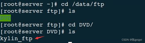 Kylin服务端实现ftp文件传输 图文详细版kylin Linux Advanced 安装ftp Csdn博客
