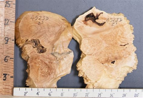 5a Burl Maple Nwt 4523d