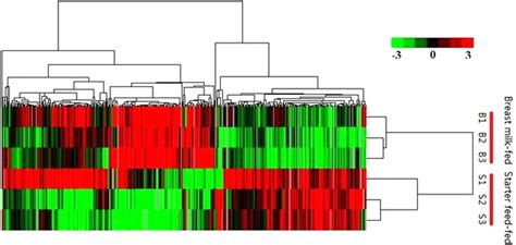 Average Linkage Hierarchical Clustering Analysis Of The Log 2