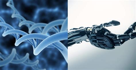 Biomedical Engineering Wallpapers Top Free Biomedical Engineering