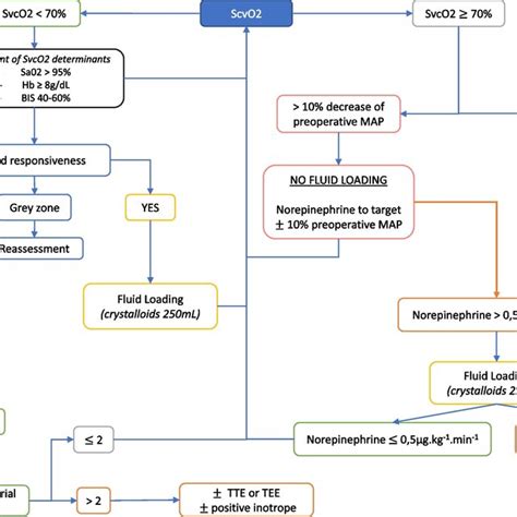 Overview Of The Intervention Group Protocol Abbreviations Scvo2
