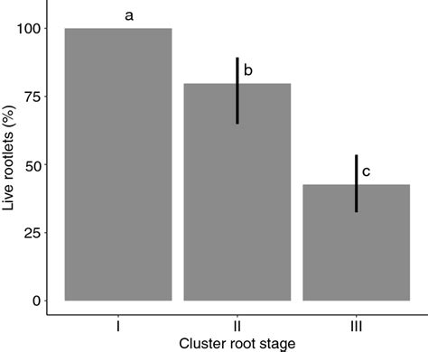 Percent Of Live Ie Unstained Rootlets Across The Developmental