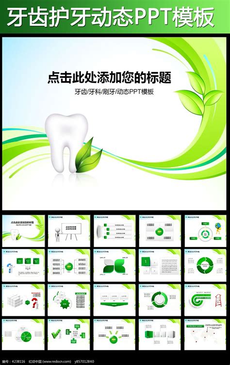牙齿口腔牙医牙科PPT模板 红动网
