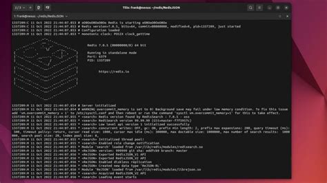 Ubuntu Redisjson Modul F R Redis Aus Dem Source Code Selbst Bauen