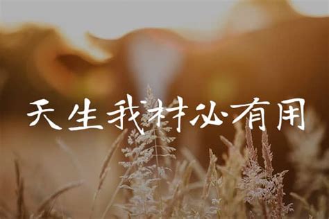 有字库龙藏体wikishu