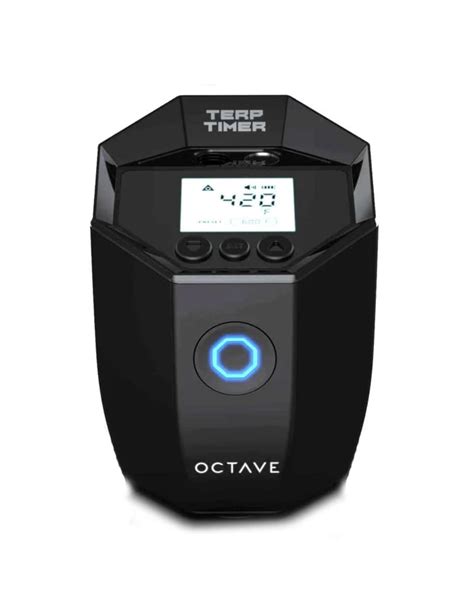 Octave Terp Timer Black Borosyndicate