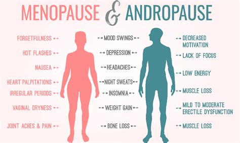 Bio Identical Hormone Therapy At Freeman Concierge Clinic In Austin Tx A Private Medical