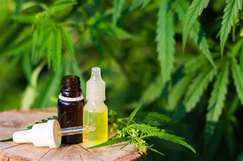 대마초 배경에 Cbd 오일 의 병 웰빙 대마 칸 나비 디올 프리미엄 마리화나 제품 추출 Cbd와 의료 대마초 복사 공간을 위한