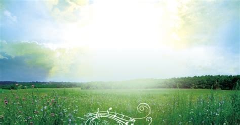 자율 신경계를 상쾌하게 하는 음악 플루트 하프 첼로의 상냥한 선율